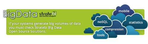 Big Data - Business Intelligence Training - Stratebi